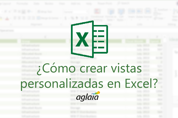 Crear vistas personalizadas en Excel | Aglaia