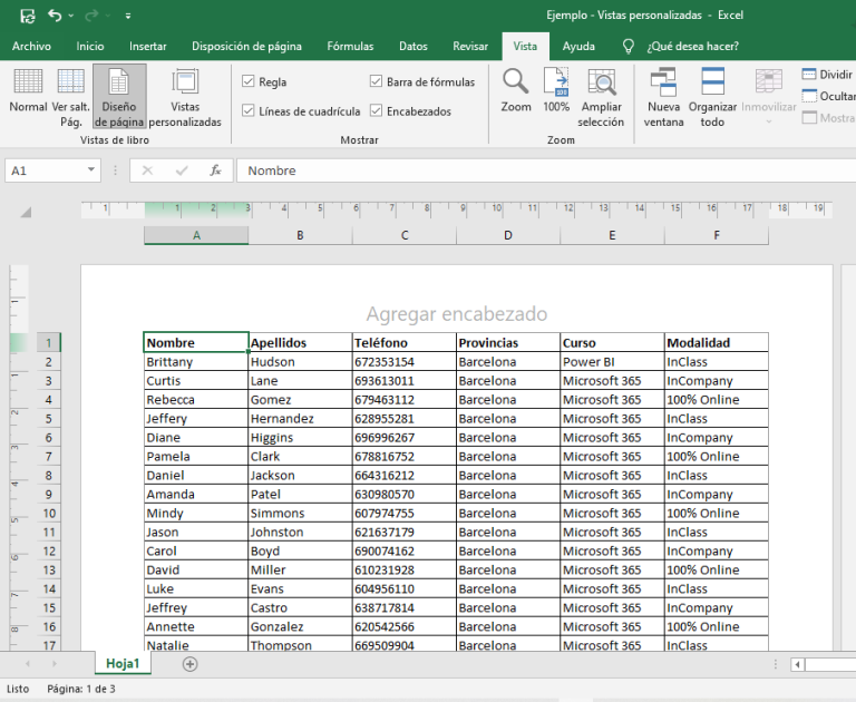 Cómo crear vistas personalizadas en Excel | Aglaia